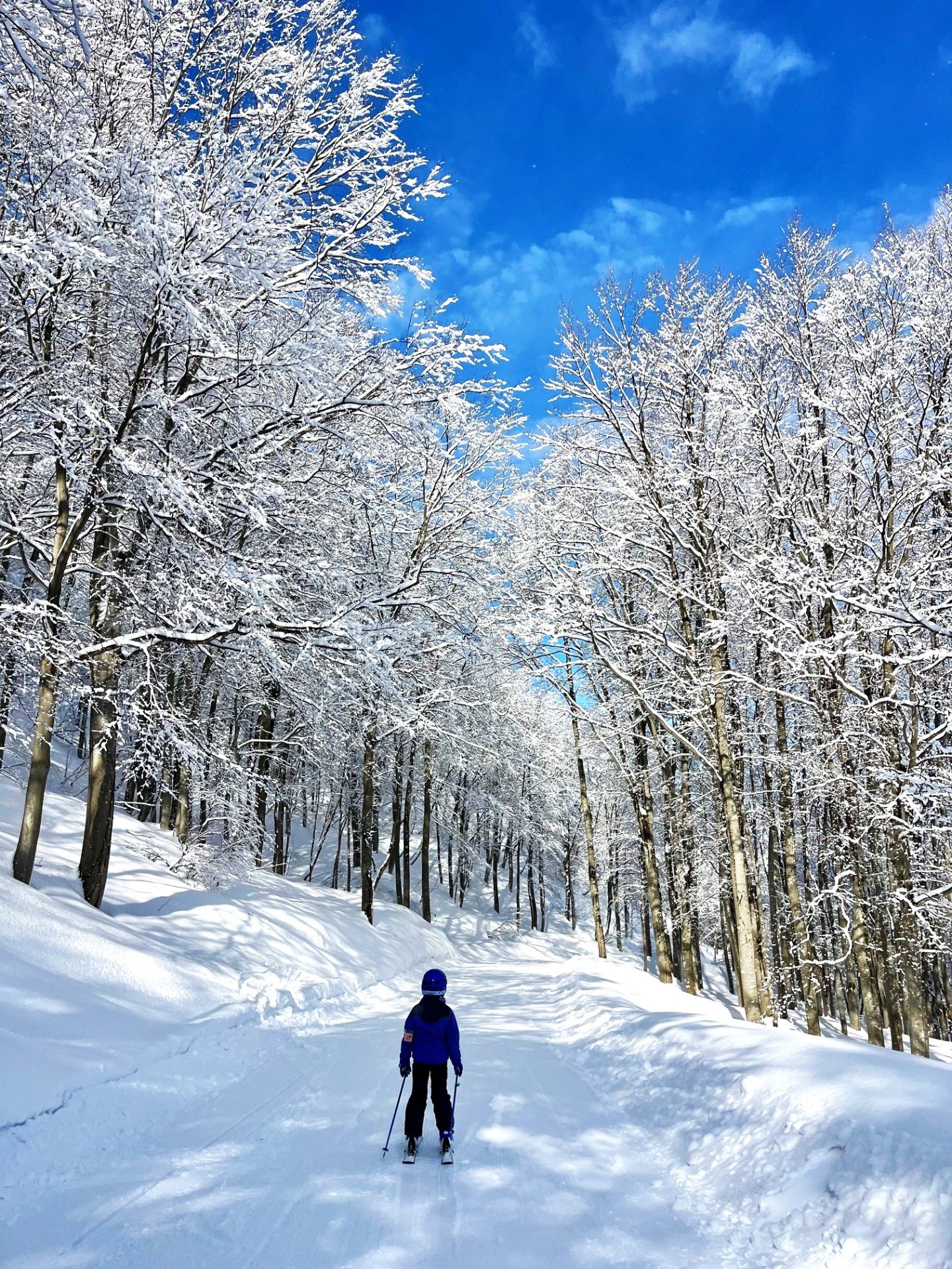 シーサイドフォトコン2025授賞作品発表 | 糸魚川シーサイドバレースキー場